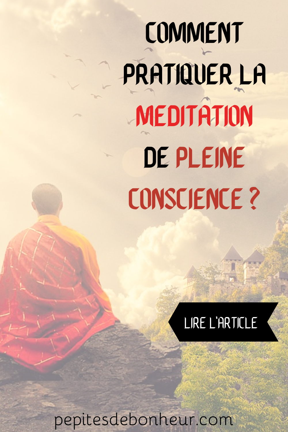 Méditation de pleine conscience : théorie et pratique